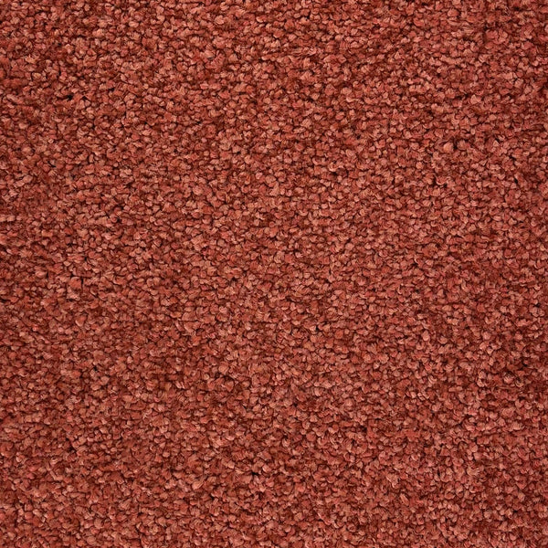 Long Life Dock Twist Carpet - Nottingham Carpets and Blinds