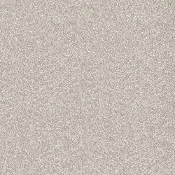 Associated Weavers Invictus Centurion Frieze Twist Carpet - Nottingham ...