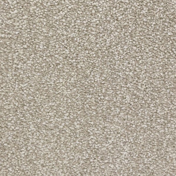 Associated Weavers Invictus Severus Frieze Twist Carpet - Nottingham ...