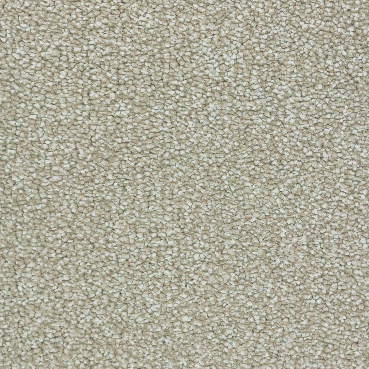 Associated Weavers Invictus Severus Frieze Twist Carpet - Nottingham ...