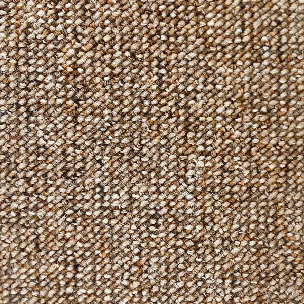 Long Life Boston Loop Carpet - Nottingham Carpets and Blinds