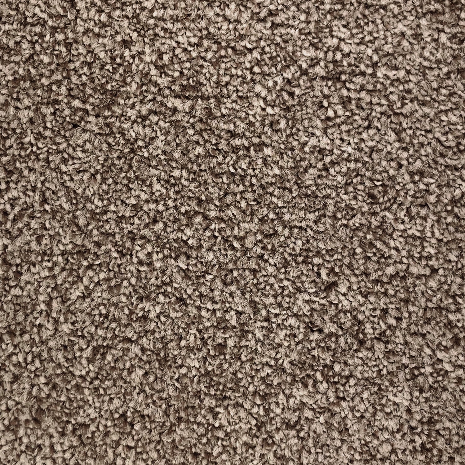 Long Life Lille Twist Carpet - Nottingham Carpets and Blinds