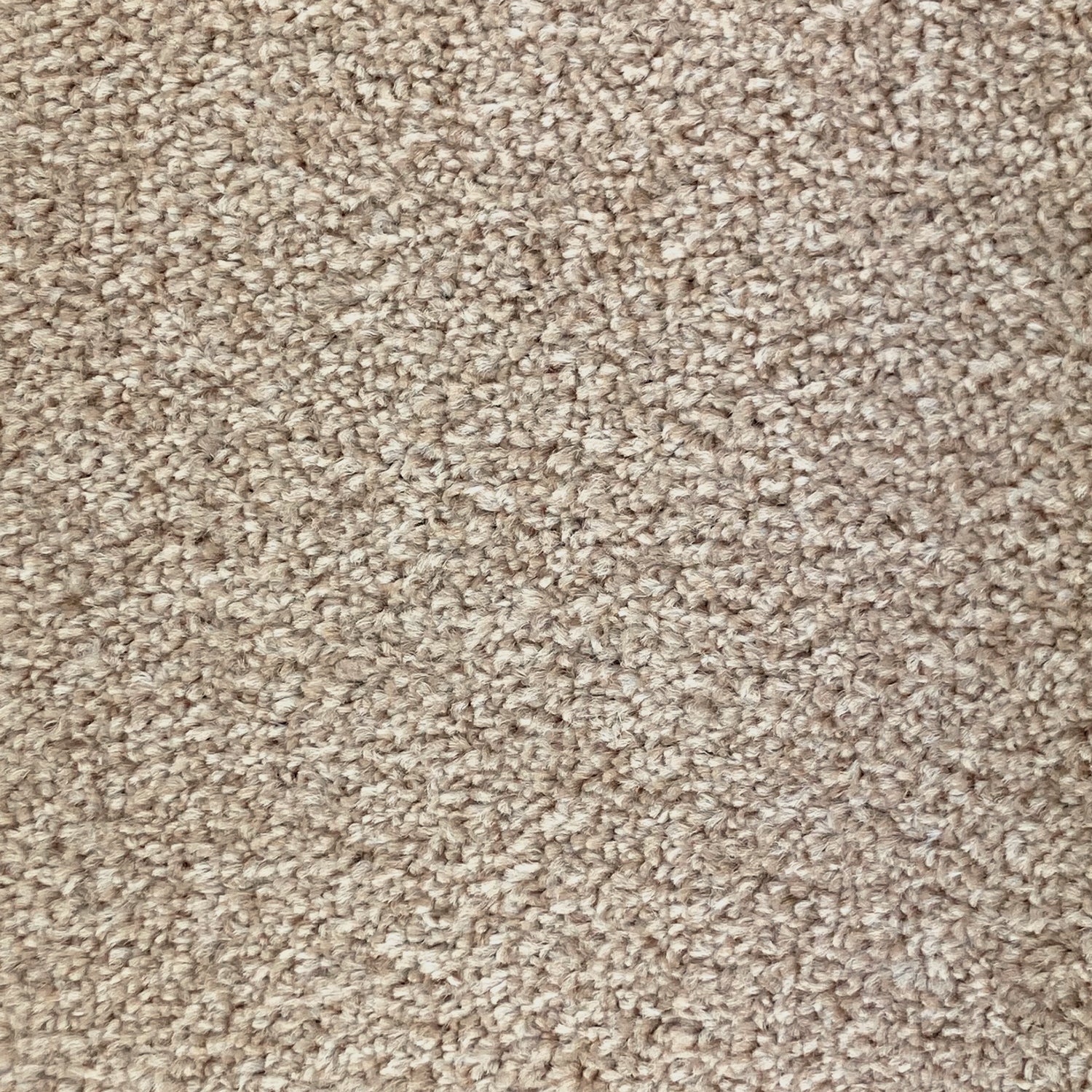 Long Life Lille Twist Carpet - Nottingham Carpets and Blinds